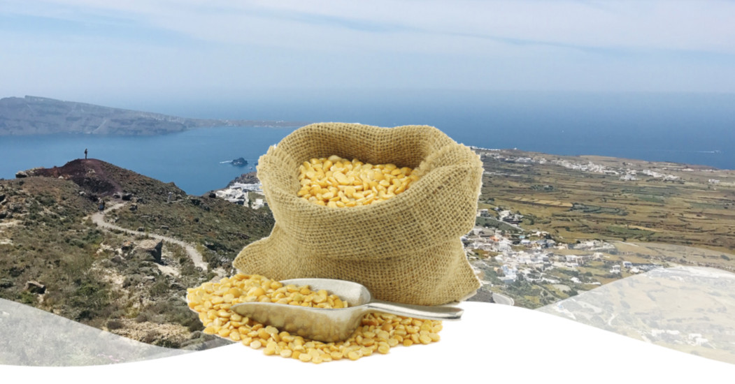 Ενημερωτική ημερίδα για τη Φάβα Σαντορίνης το Σάββατο 12/4 - Atlantea
